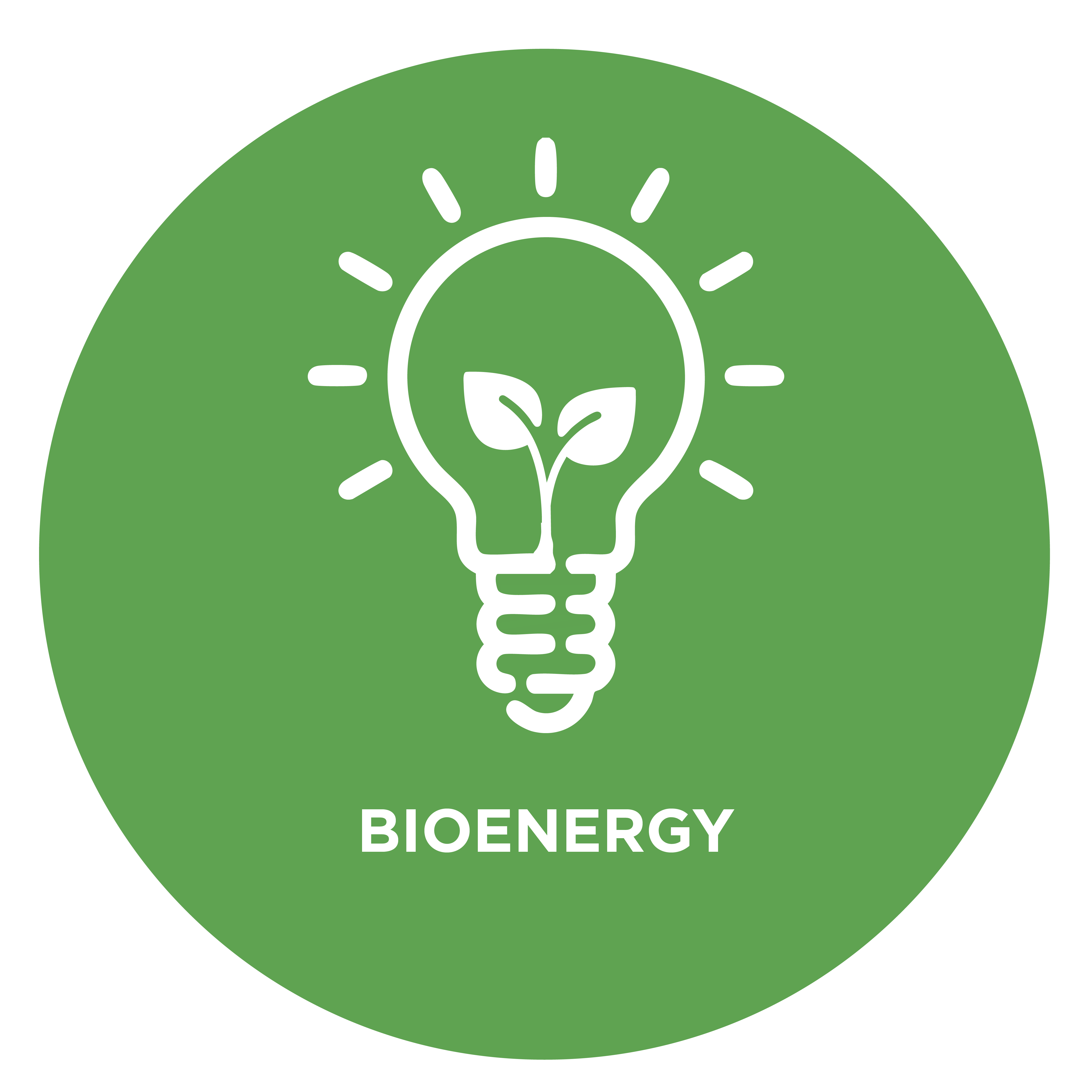 Biomass Energy Logo South Australia Set To Host $425 Million Biomass
